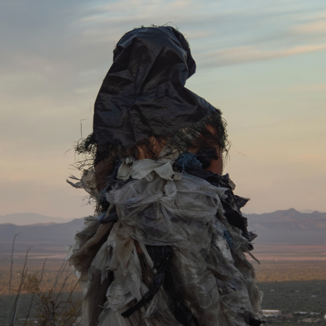 Muffled Voices and Broadcasting: A Review of Johanna Skibsrud’s Medium ...