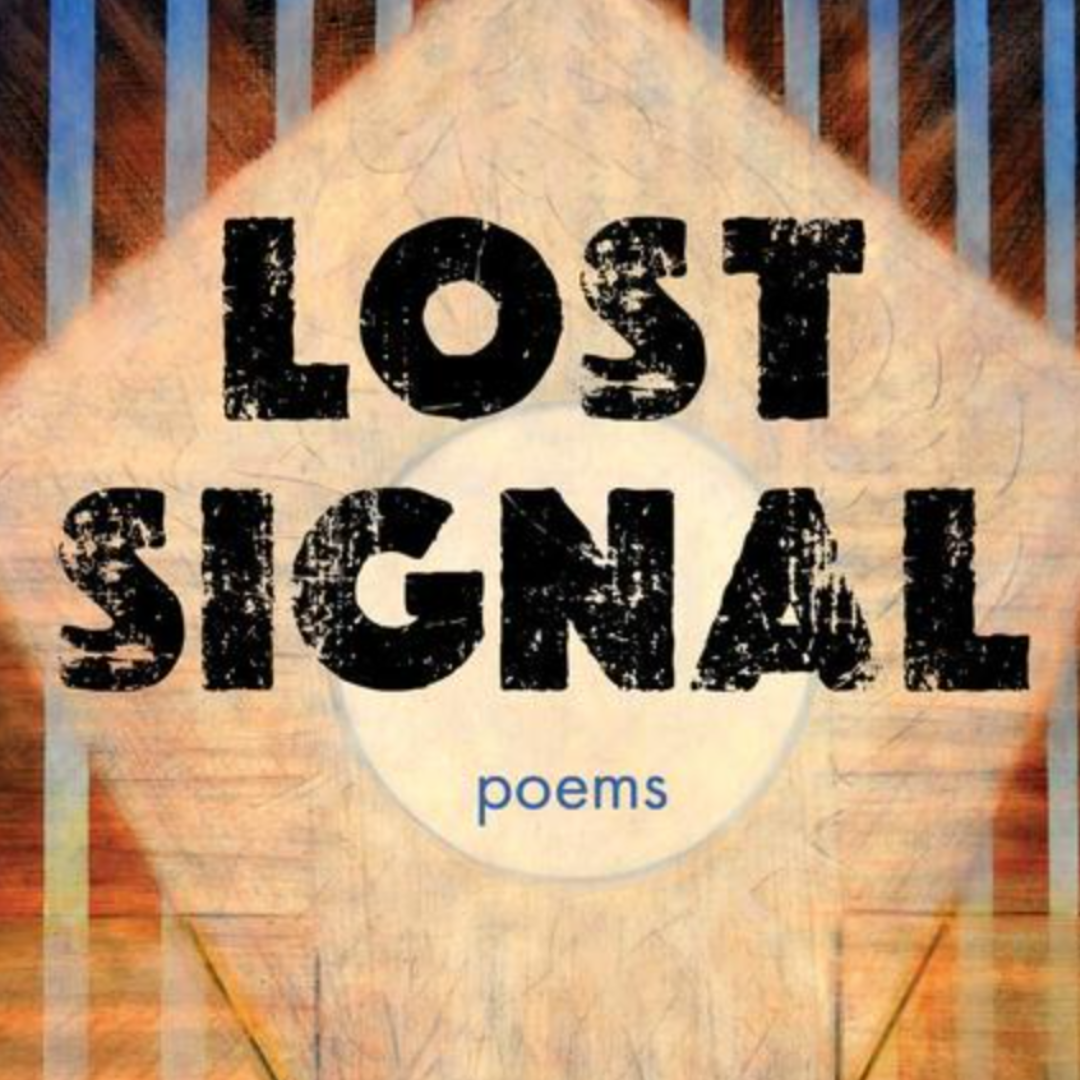 The ‘Squelch’ of Reality: A Review of Chris Hutchinson’s Lost Signal (Palimpsest Press 2025 ...